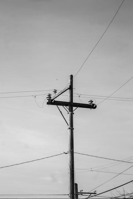 D&D 5e Basic Rules PDF - Free Download | Official Guide