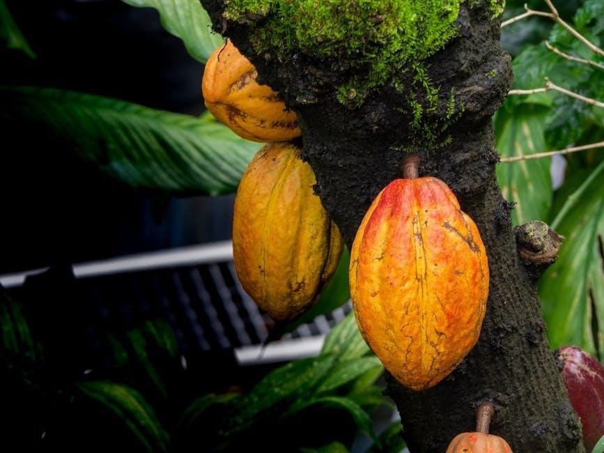 Identify Tree Seed Pods | Ultimate Guide With Pictures & Tips!